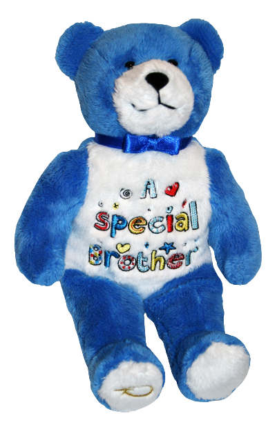 A Special Brother – HolyBears
