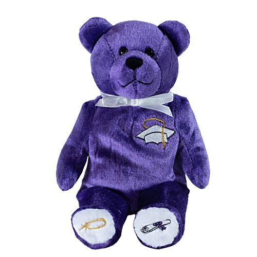 Graduation Bears - Multiple Colors! – HolyBears